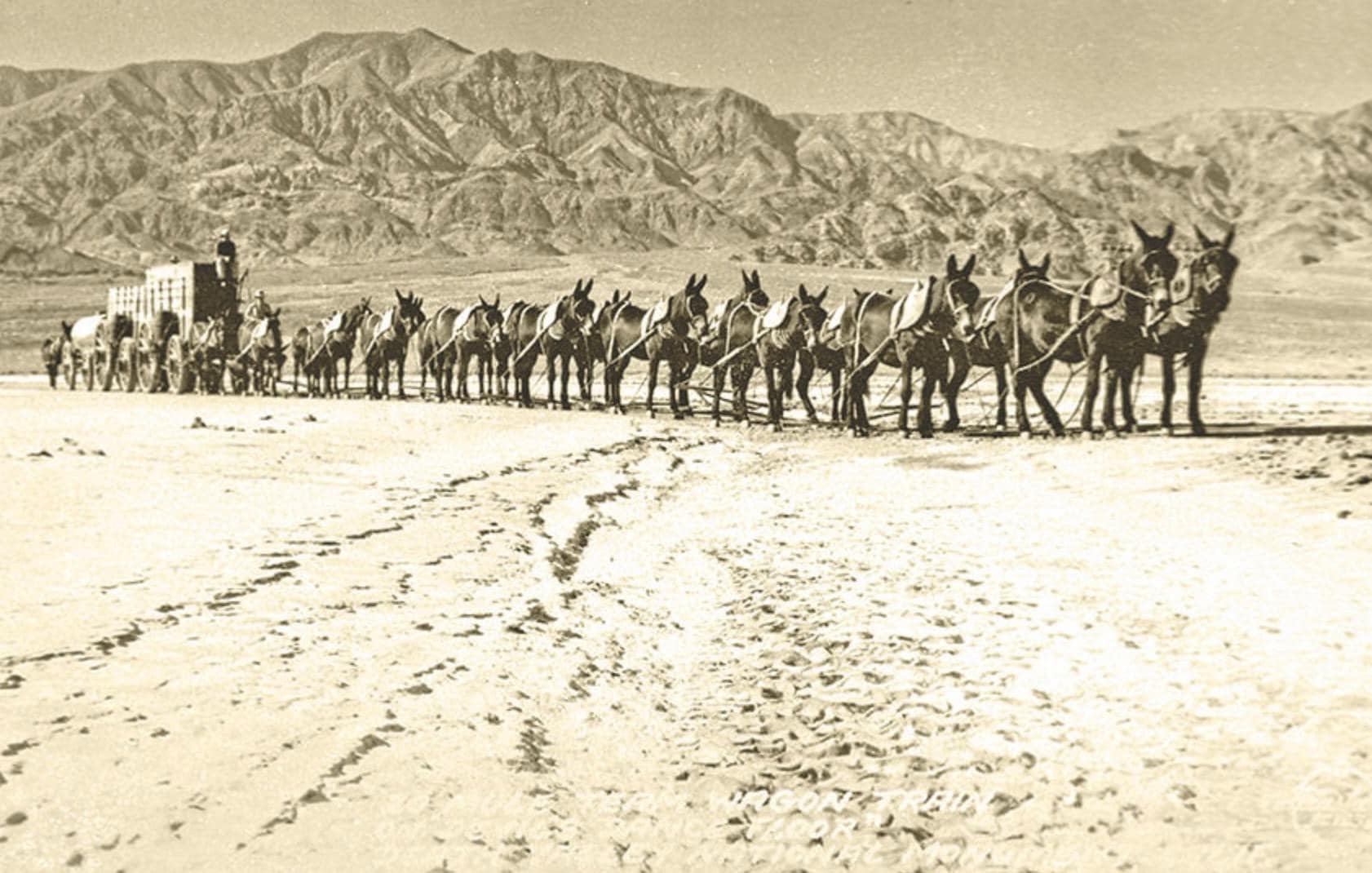 Bonus Day Brightener – History, The 20 Mule Team | Loren Berg's Blog