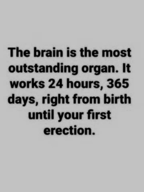 Day Brightener – Certainly Not PC, But Actually Quite Funny | Loren ...